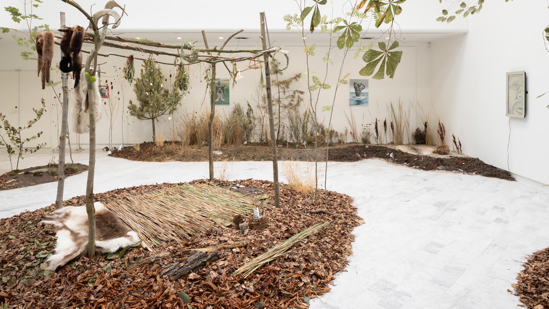 Rasmus Myrup at Tranen – Art Viewer