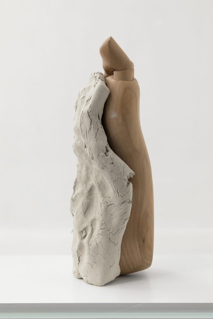 Ian Waelder at L21 Gallery – Art Viewer