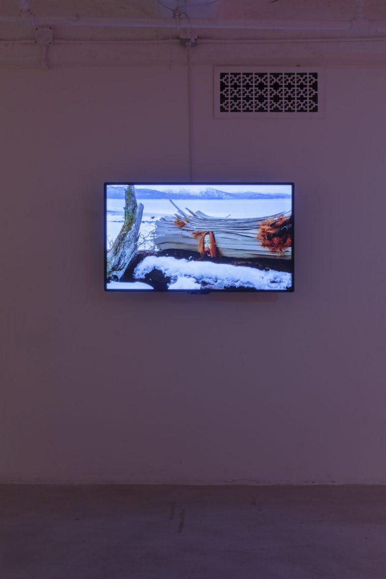 Jaimie Warren at American Medium – Art Viewer