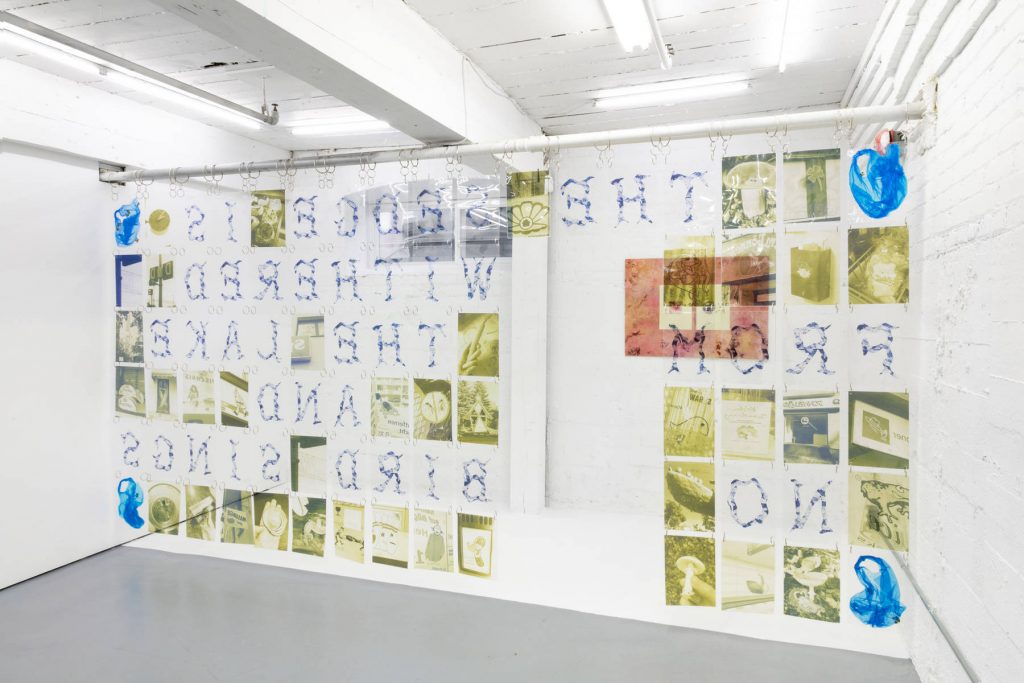 Elif Saydam at Franz Kaka – Art Viewer