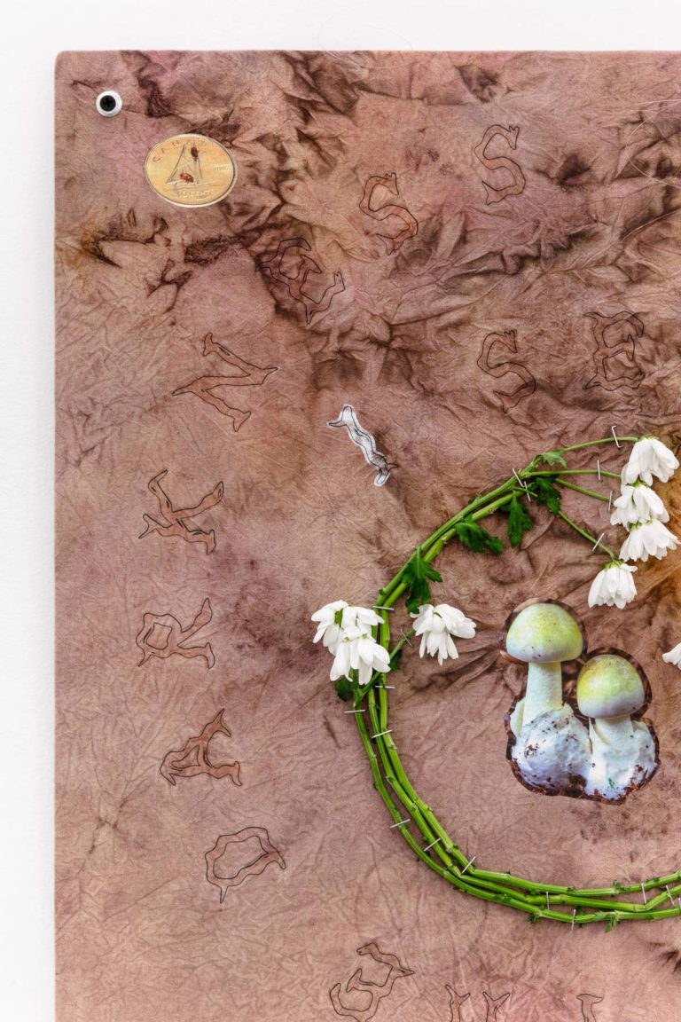 Elif Saydam at Franz Kaka – Art Viewer