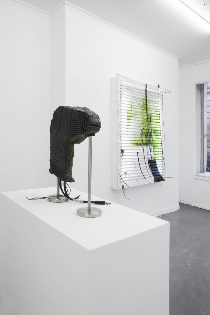 Pierre Clement and Michele Gabriele at Silicone – Art Viewer