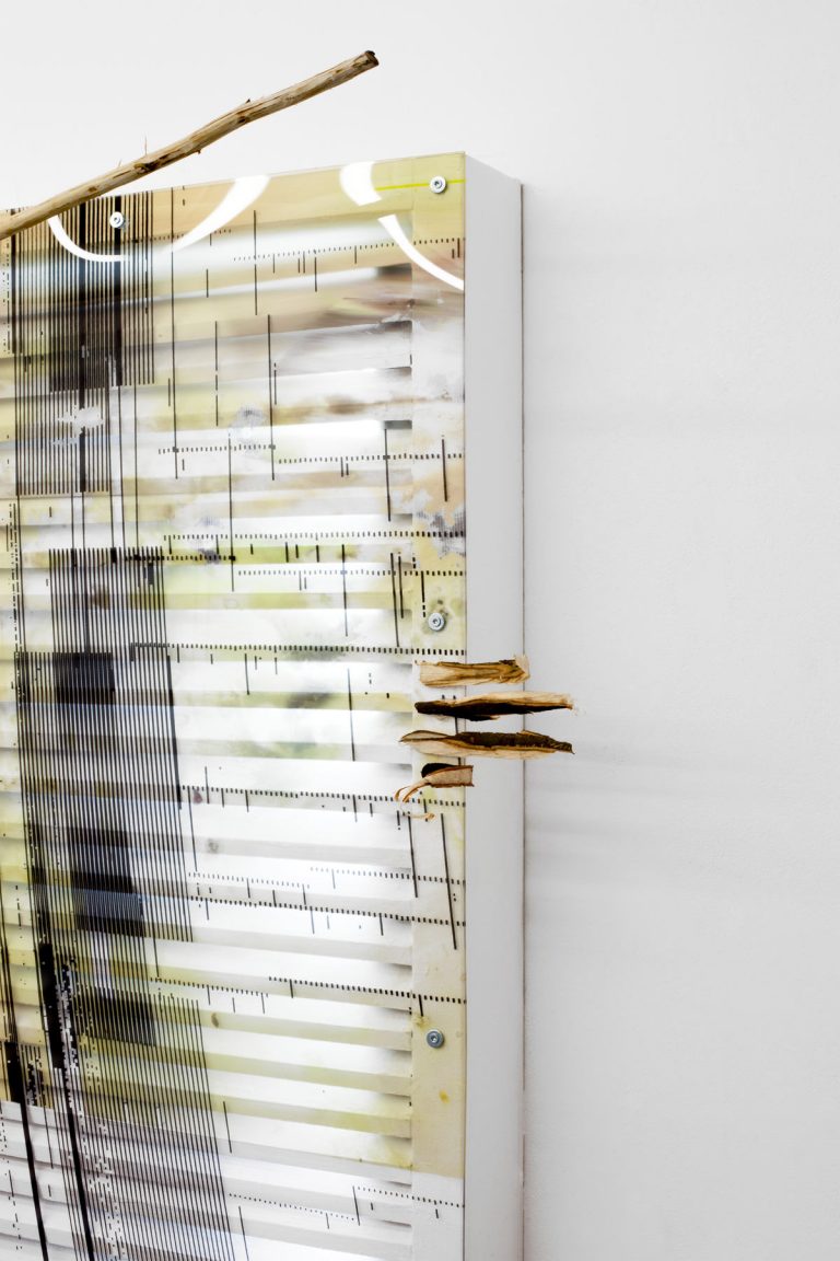 Pierre Clement and Michele Gabriele at Silicone – Art Viewer
