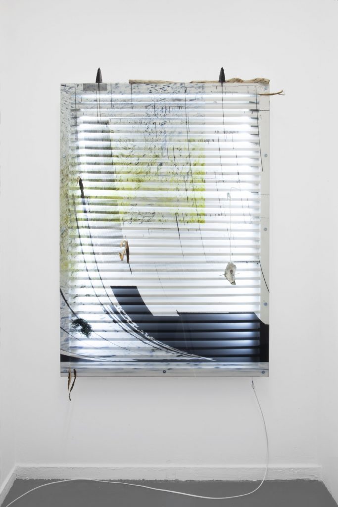 Pierre Clement and Michele Gabriele at Silicone – Art Viewer