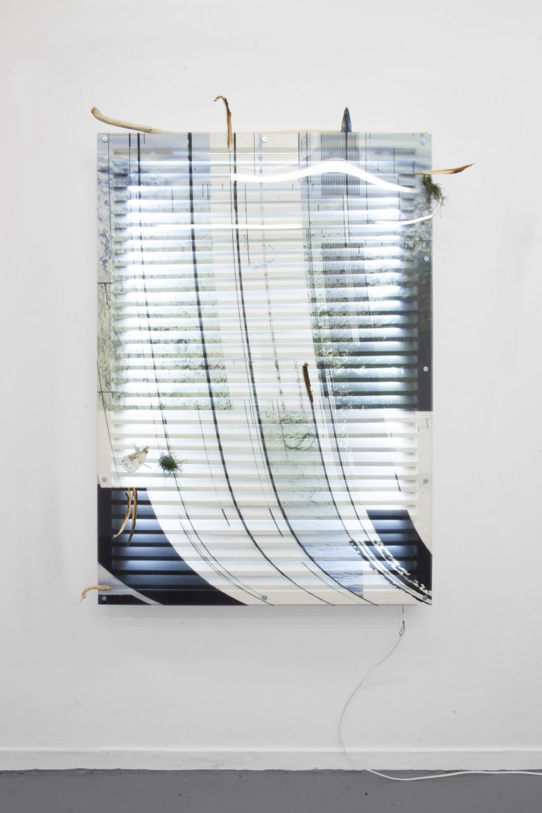 Pierre Clement and Michele Gabriele at Silicone – Art Viewer
