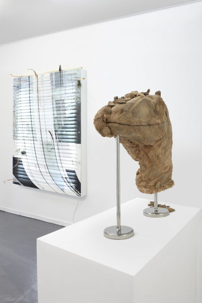Pierre Clement and Michele Gabriele at Silicone – Art Viewer
