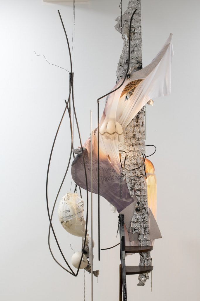 David Douard at Galerie Chantal Crousel – Art Viewer