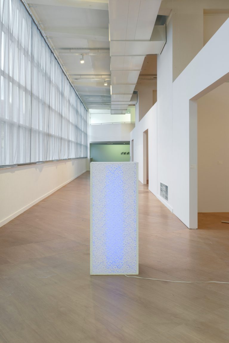 Guy Mees at Mu.ZEE – Art Viewer
