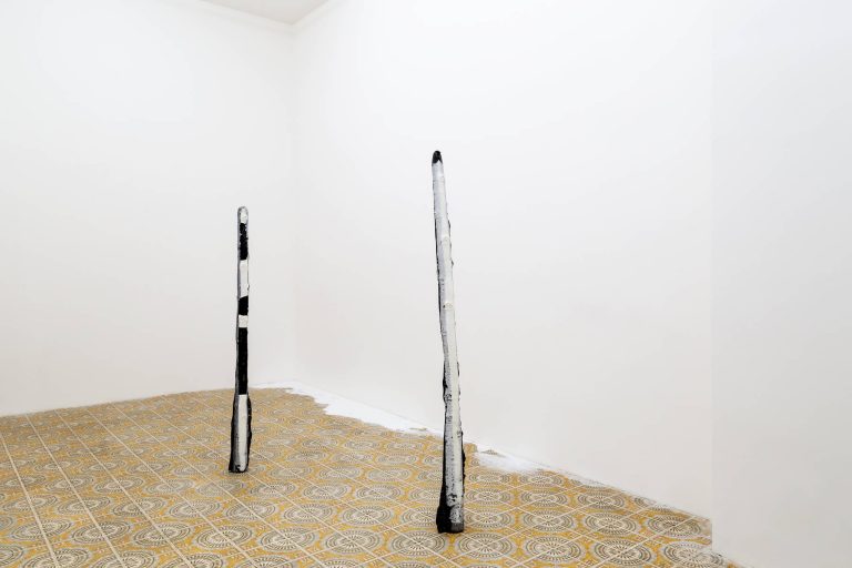 Namsal Siedlecki and Andrea Zucchini at Acappella – Art Viewer
