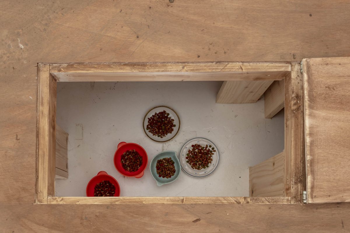 Emily Jones at Centre d’art contemporain-la synagogue de Delme – Art Viewer