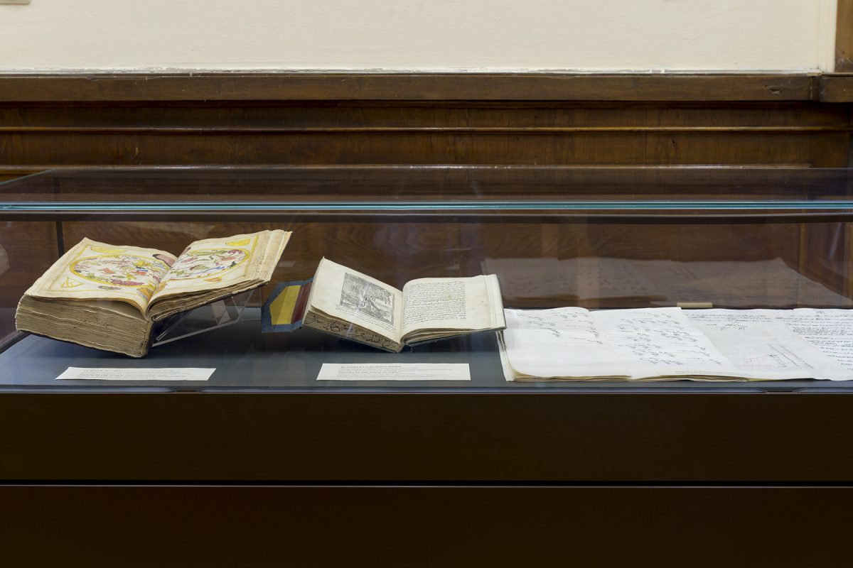 Esra Ersen at Swimming Pool – Art Viewer