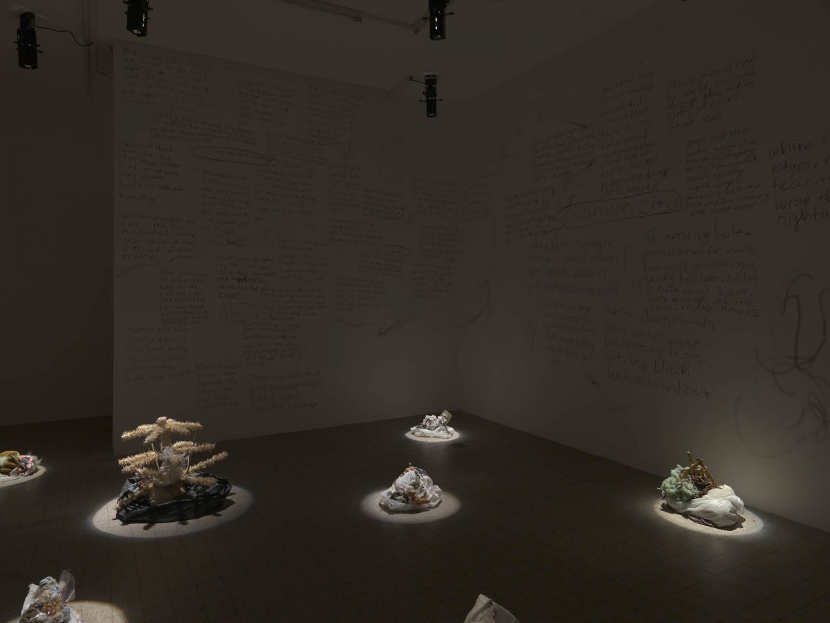 Ser Serpas at Truth and Consequences – Art Viewer