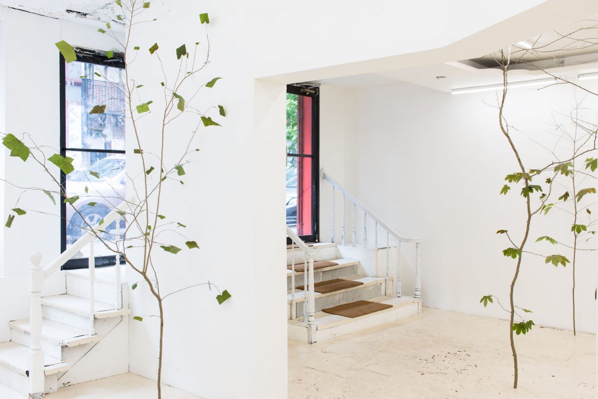 Rasmus Myrup at Jack Barrett – Art Viewer