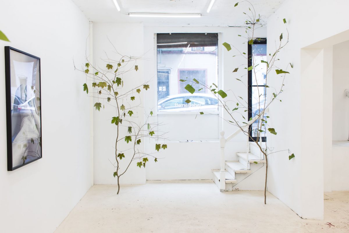 Rasmus Myrup at Jack Barrett – Art Viewer