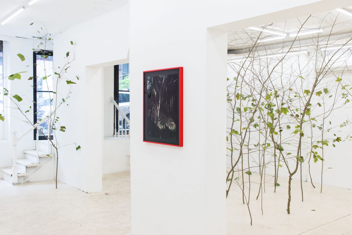 Rasmus Myrup at Jack Barrett – Art Viewer