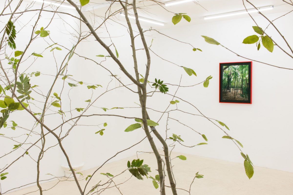 Rasmus Myrup at Jack Barrett – Art Viewer