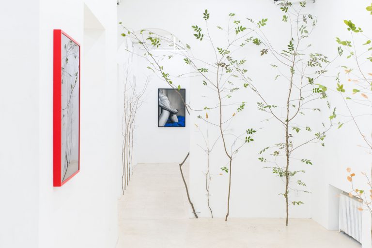 Rasmus Myrup at Jack Barrett – Art Viewer