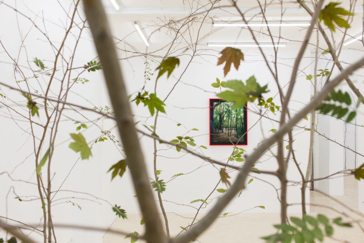 Rasmus Myrup at Jack Barrett – Art Viewer