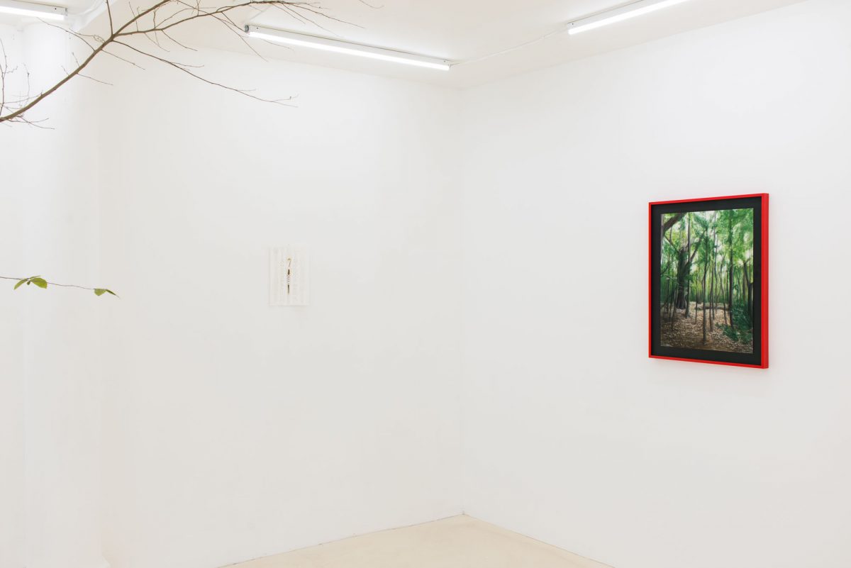 Rasmus Myrup at Jack Barrett – Art Viewer