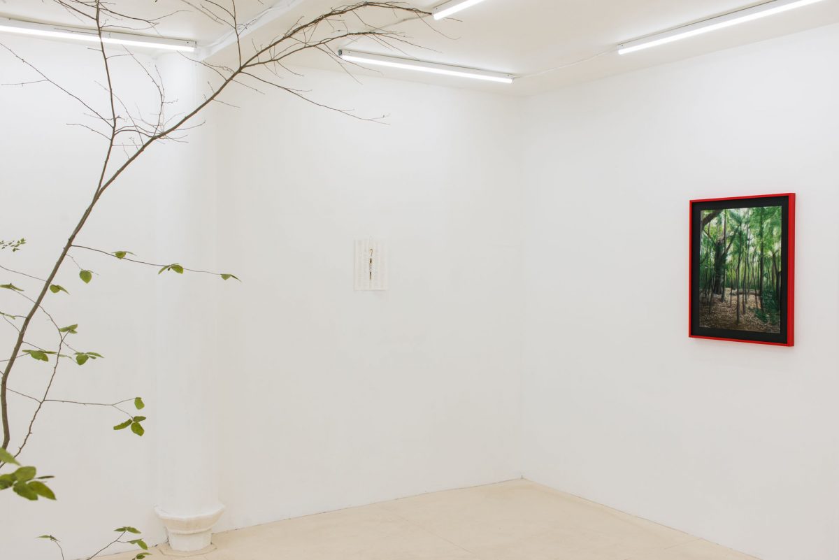 Rasmus Myrup at Jack Barrett – Art Viewer