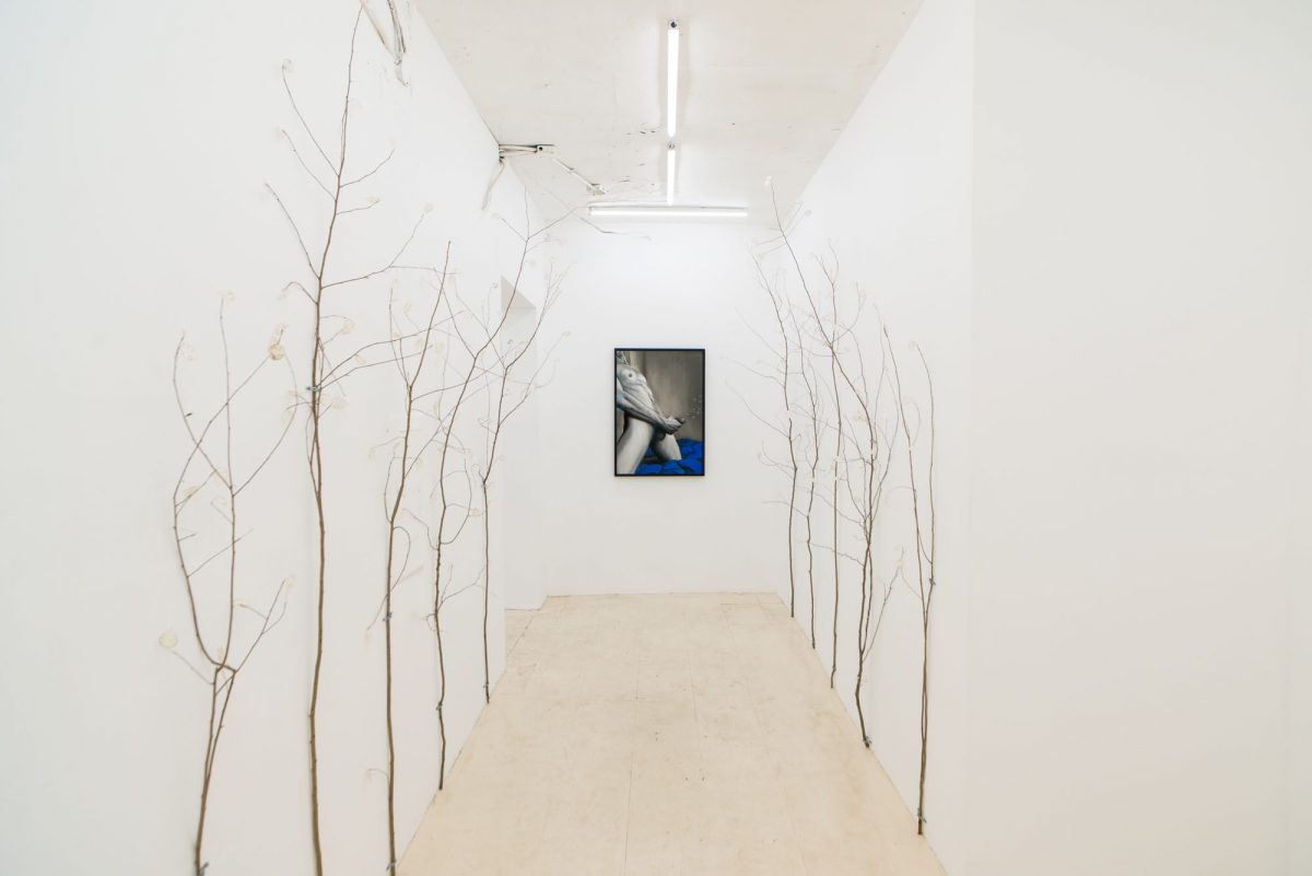 Rasmus Myrup at Jack Barrett – Art Viewer