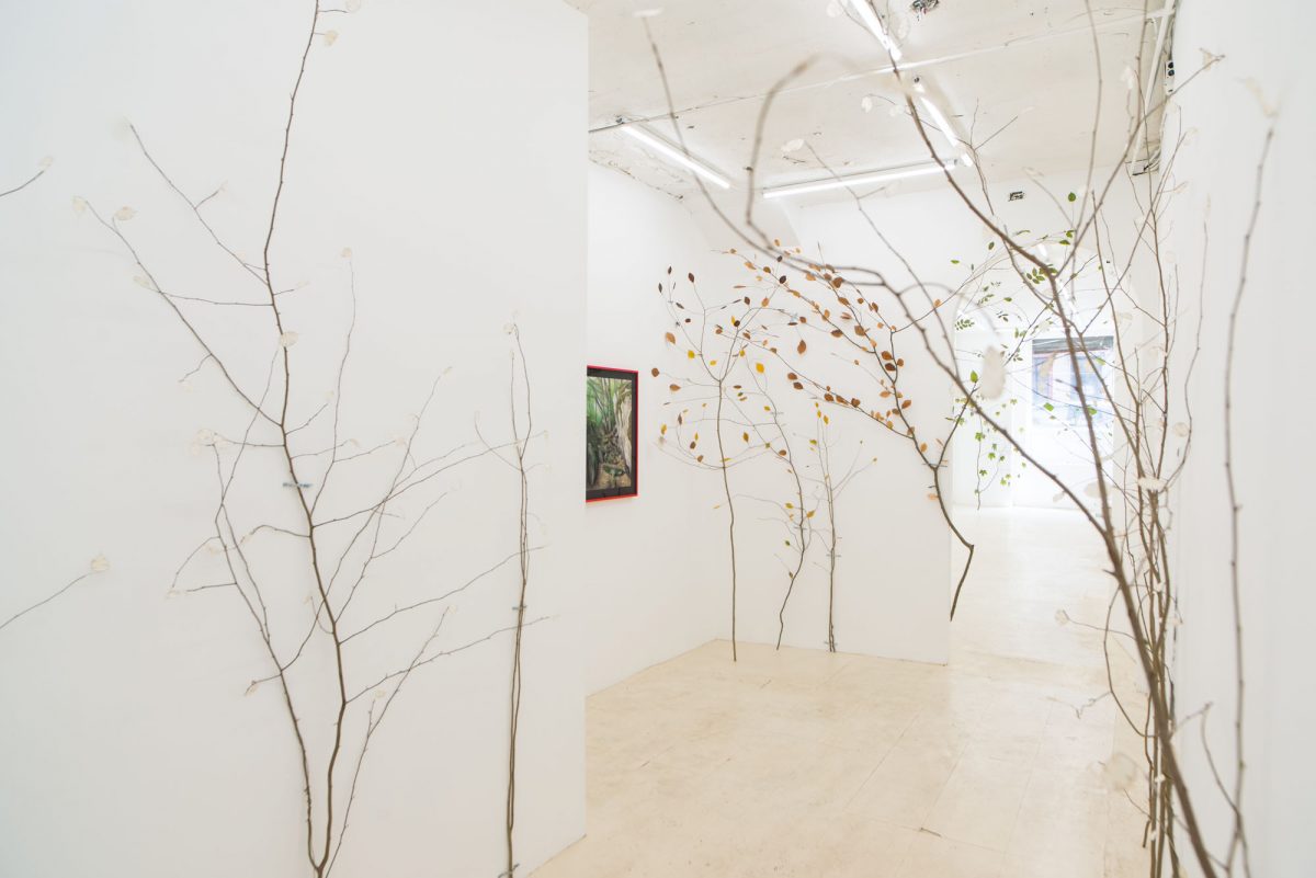 Rasmus Myrup at Jack Barrett – Art Viewer