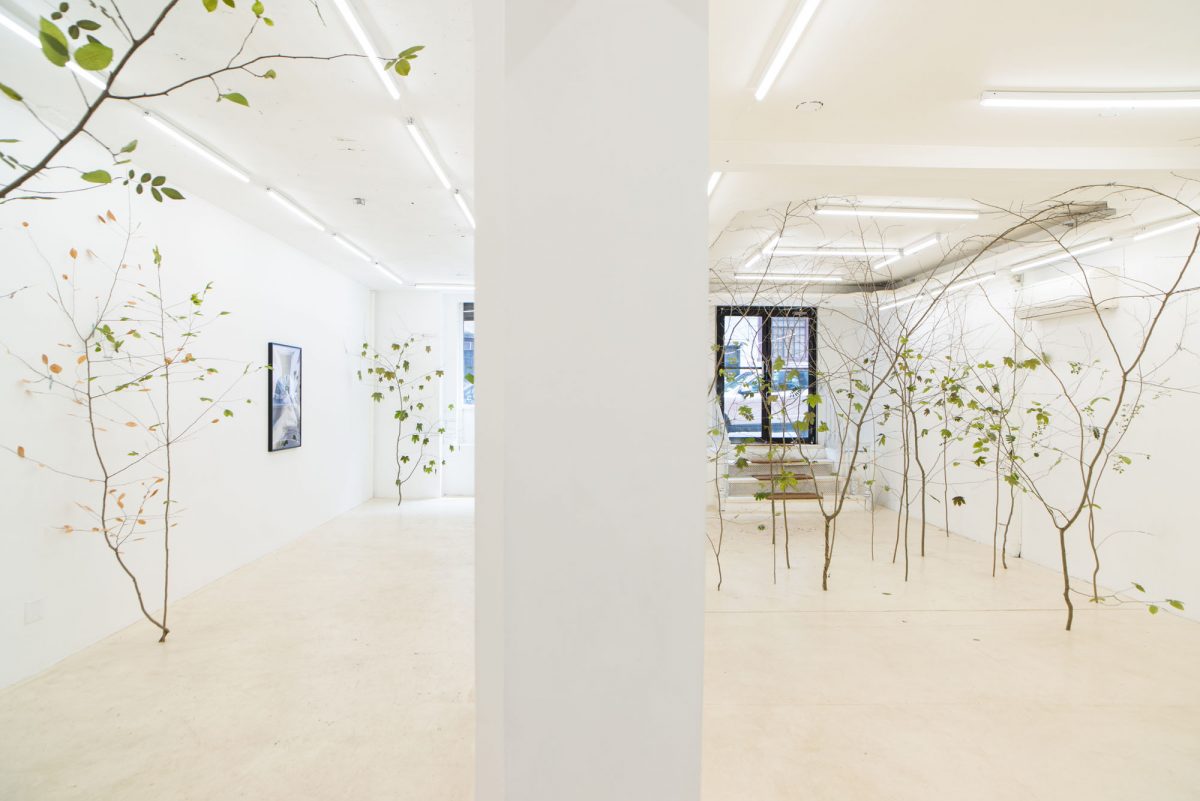 Rasmus Myrup at Jack Barrett – Art Viewer