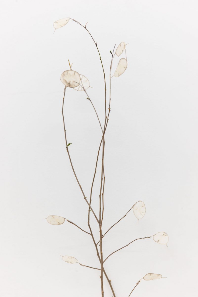 Rasmus Myrup at Jack Barrett – Art Viewer