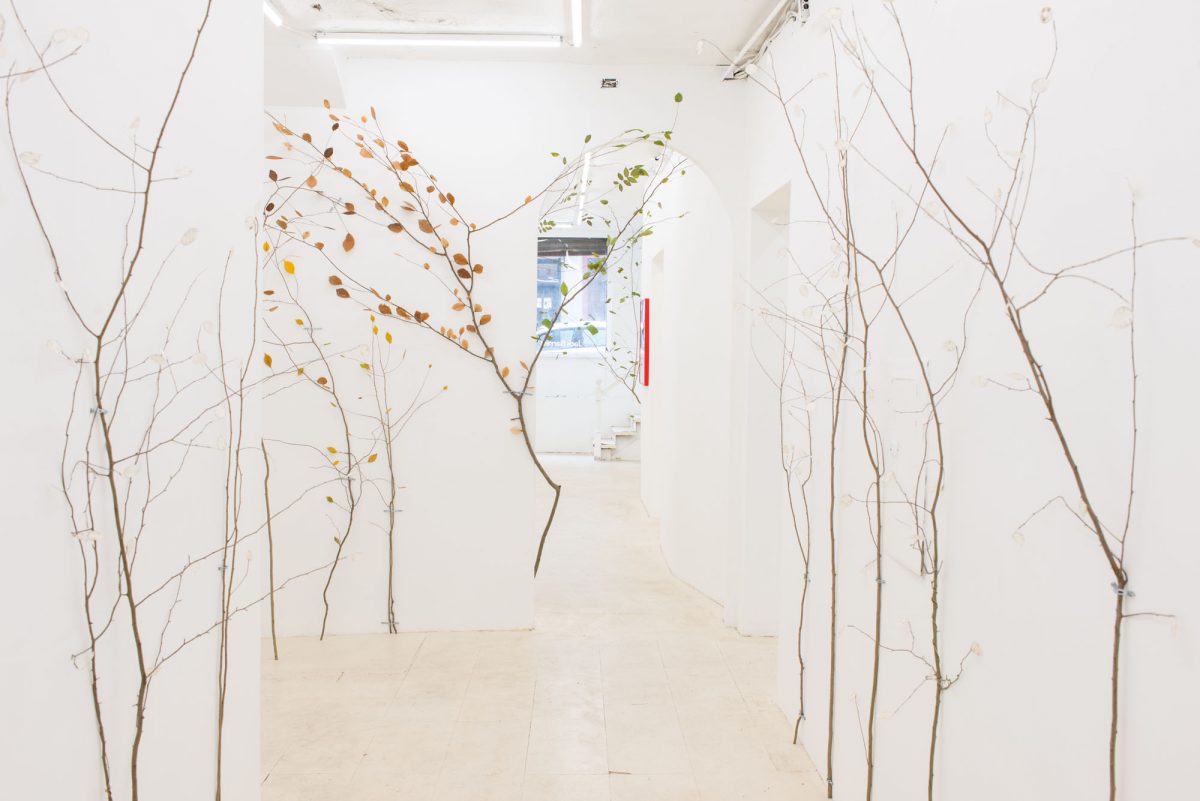 Rasmus Myrup at Jack Barrett – Art Viewer