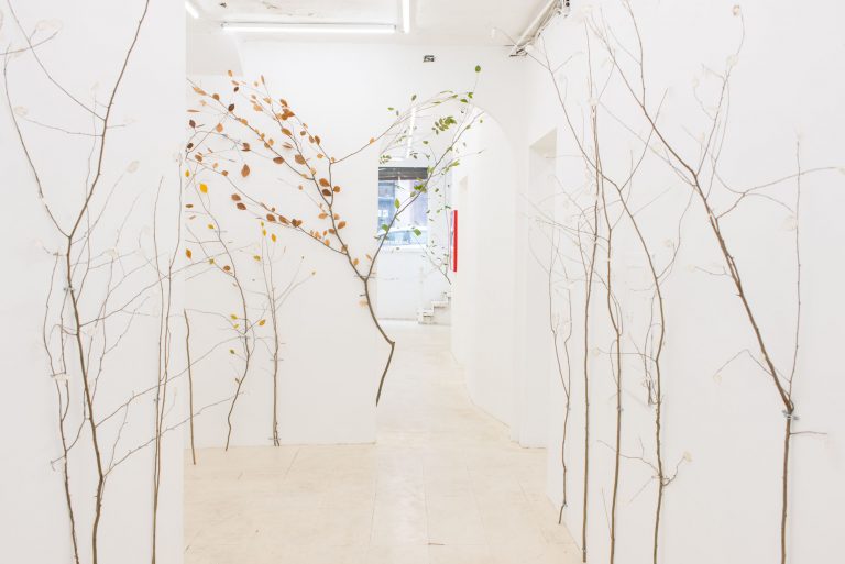Rasmus Myrup at Jack Barrett – Art Viewer