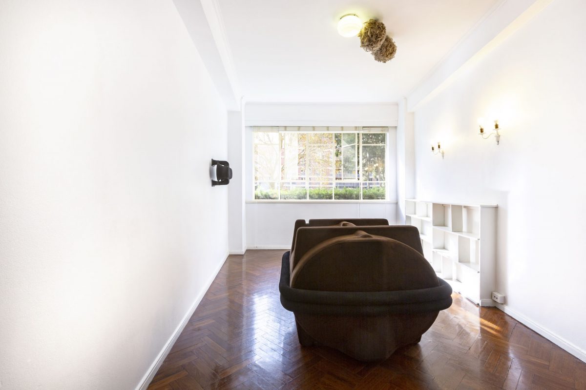 Lewis Fidock & Joshua Petherick at Sydney – Art Viewer