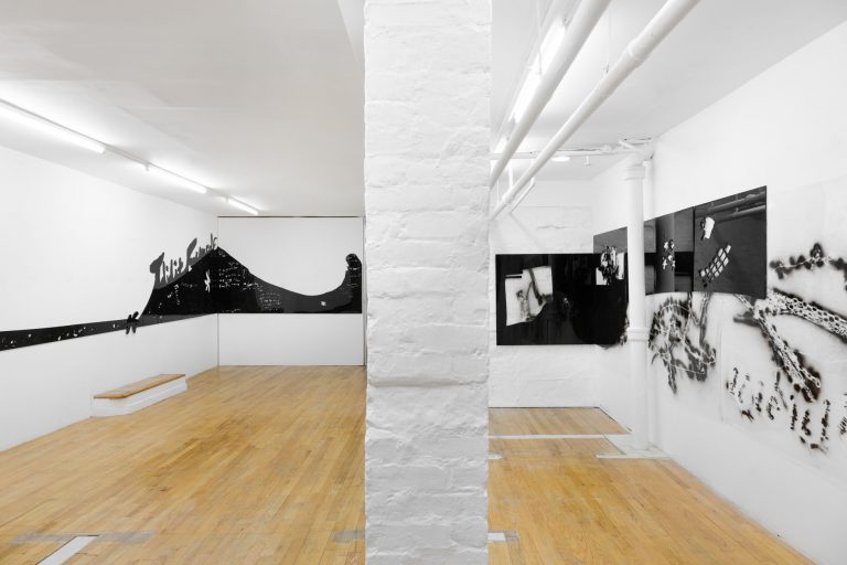 Raque Ford at 321 Gallery – Art Viewer