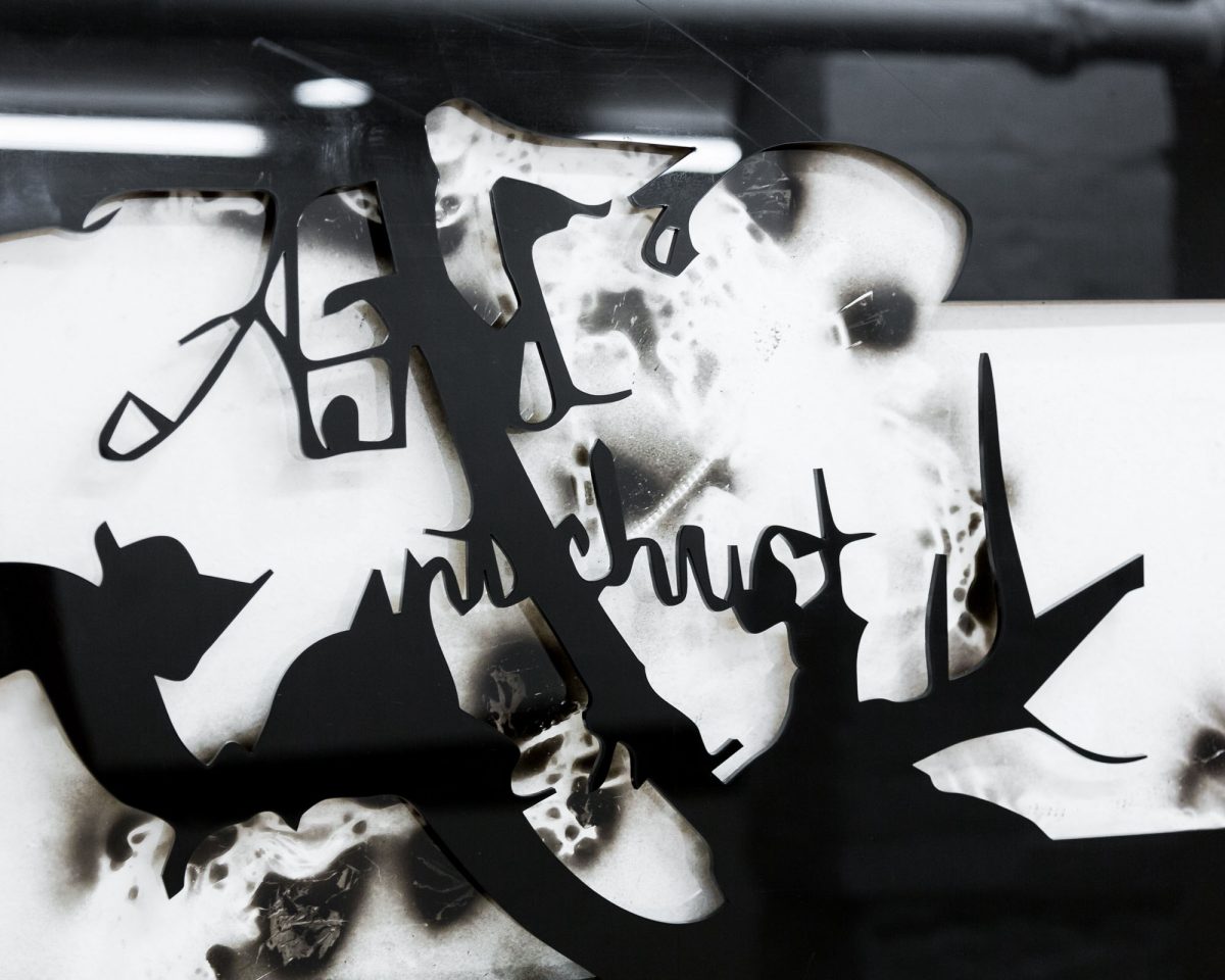 Raque Ford at 321 Gallery – Art Viewer