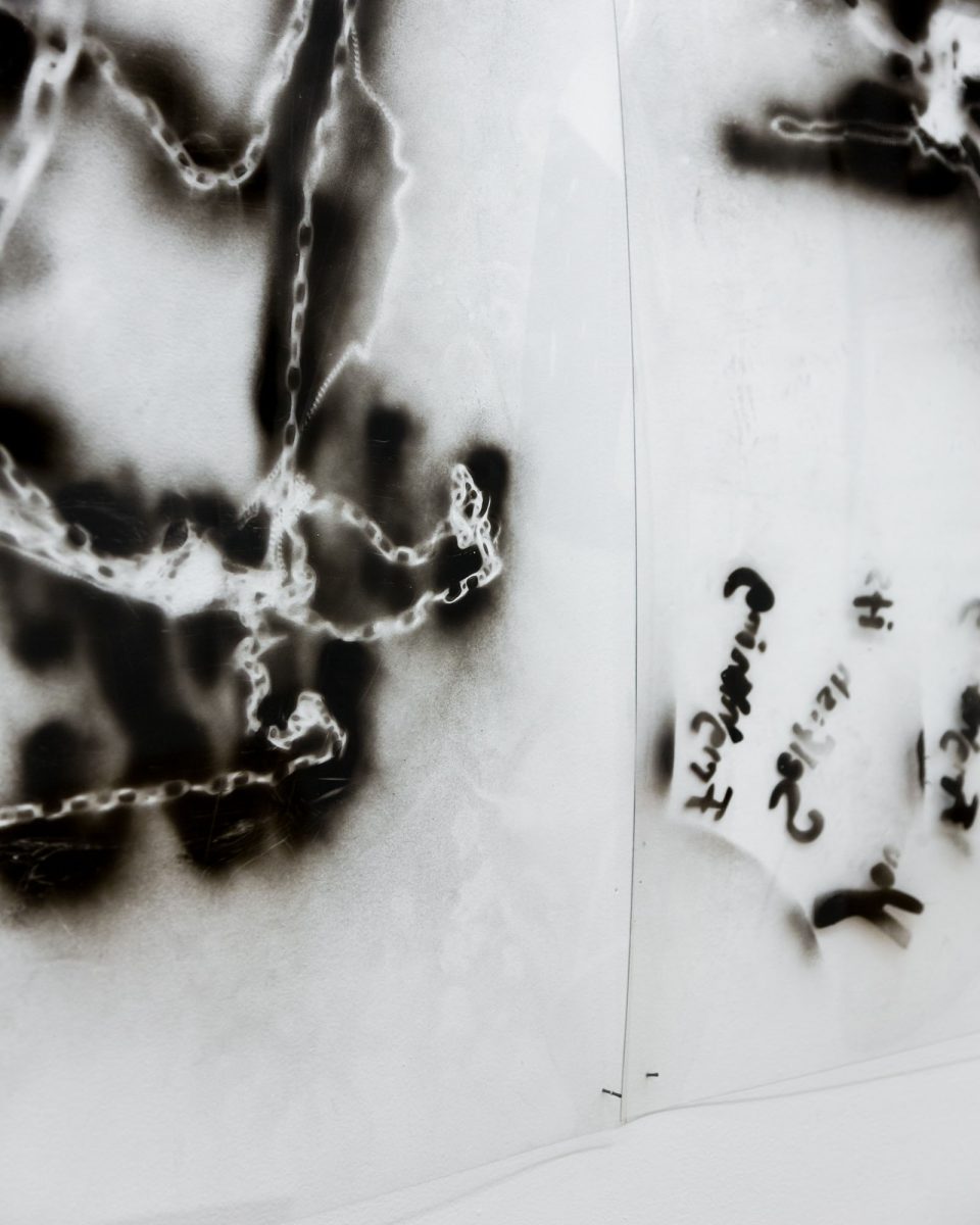 Raque Ford at 321 Gallery – Art Viewer