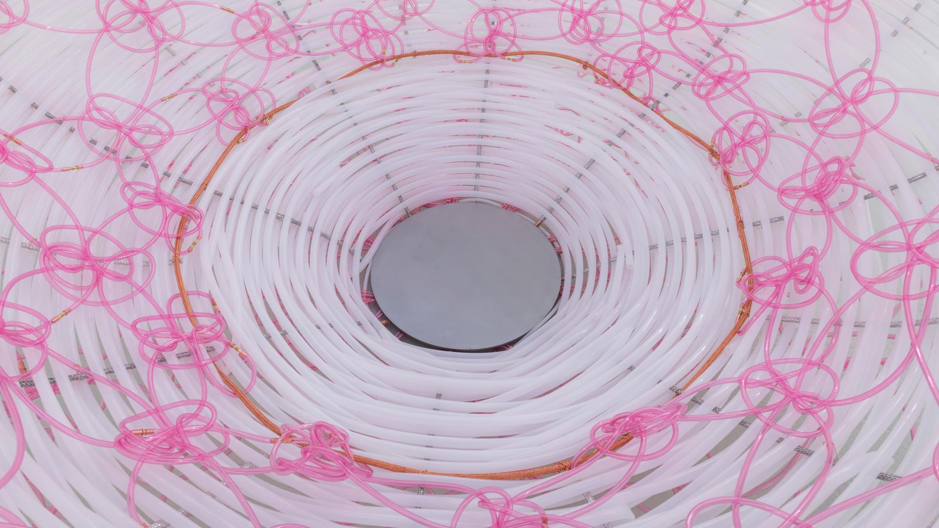 Violet Dennison at Kunstverein Freiburg – Art Viewer