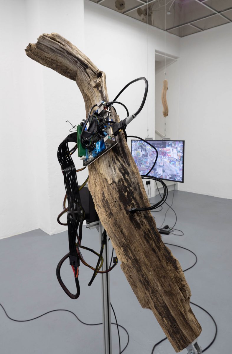 Christopher MacInnes at Schimmel Projects – Art Viewer