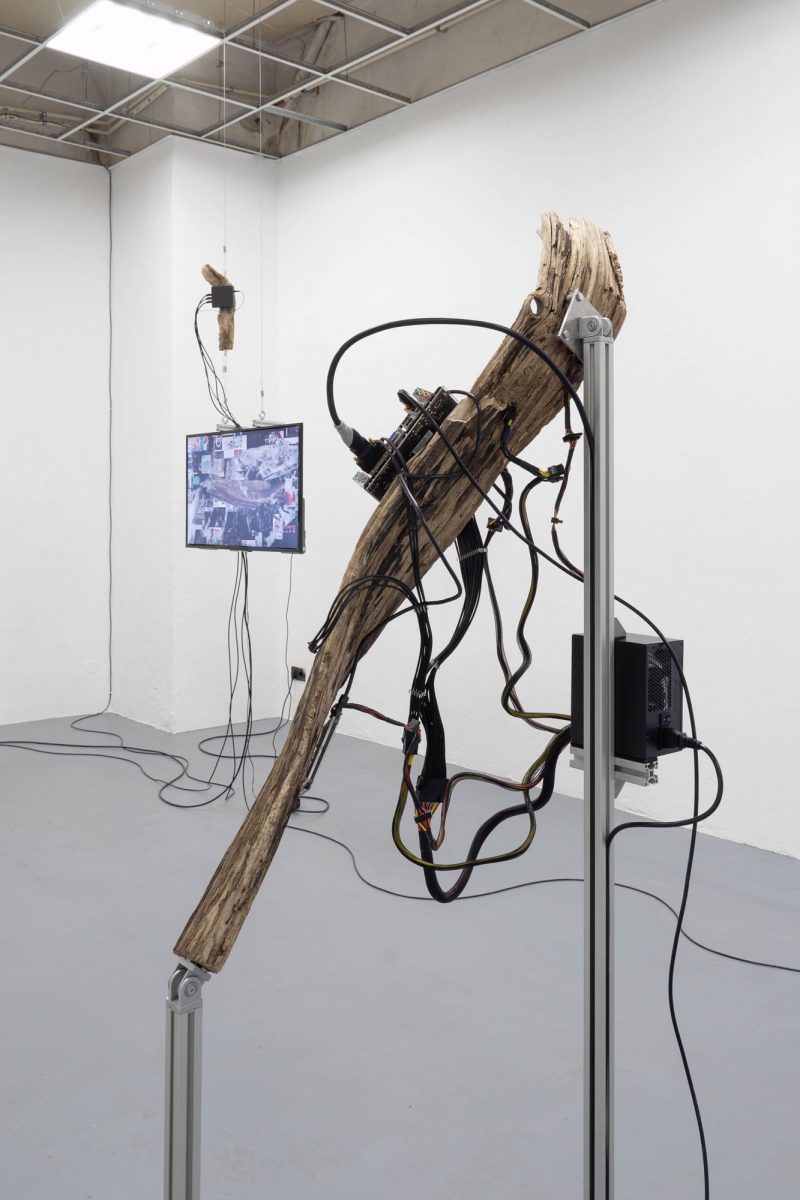 Christopher MacInnes at Schimmel Projects – Art Viewer