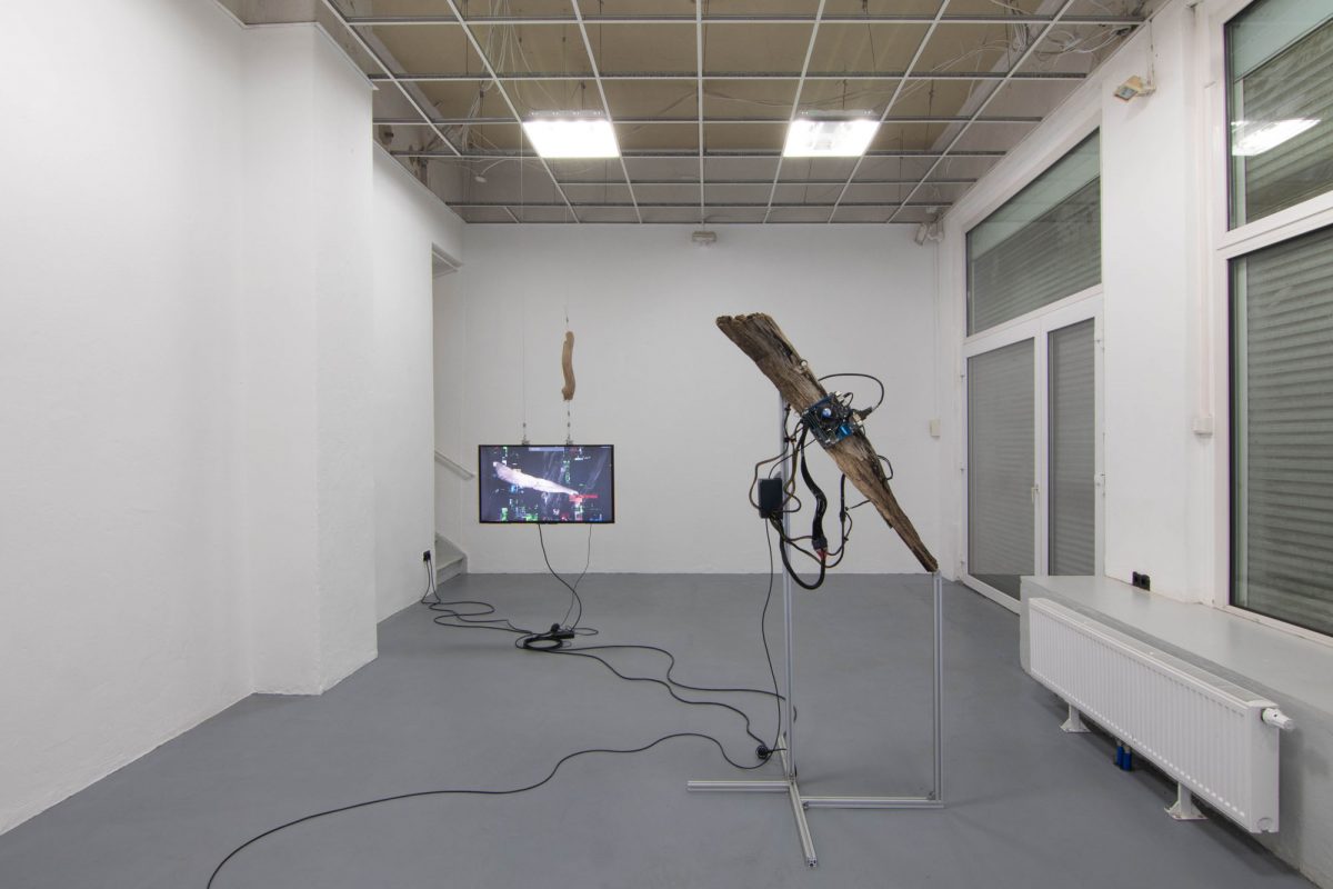 Christopher MacInnes at Schimmel Projects – Art Viewer
