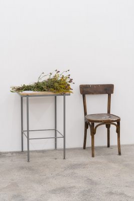 George Semeniuc at SABOT – Art Viewer