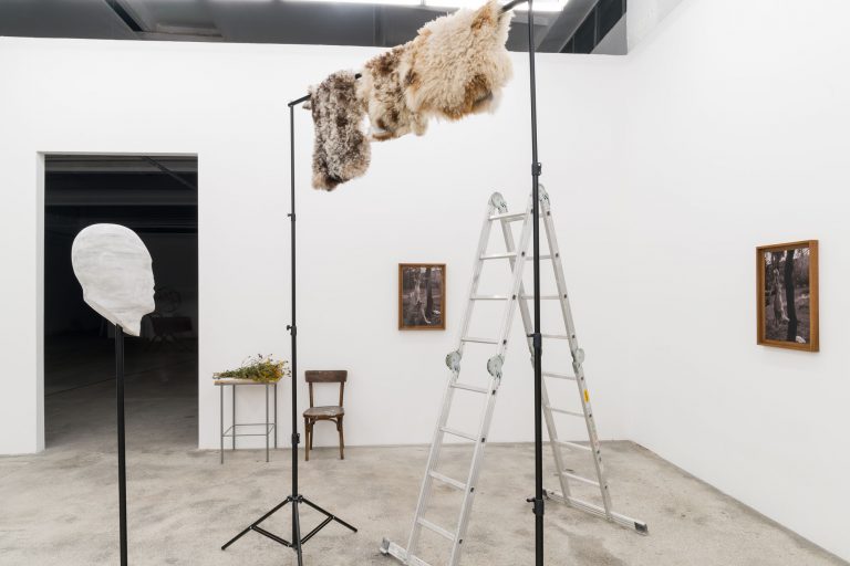 George Semeniuc at SABOT – Art Viewer