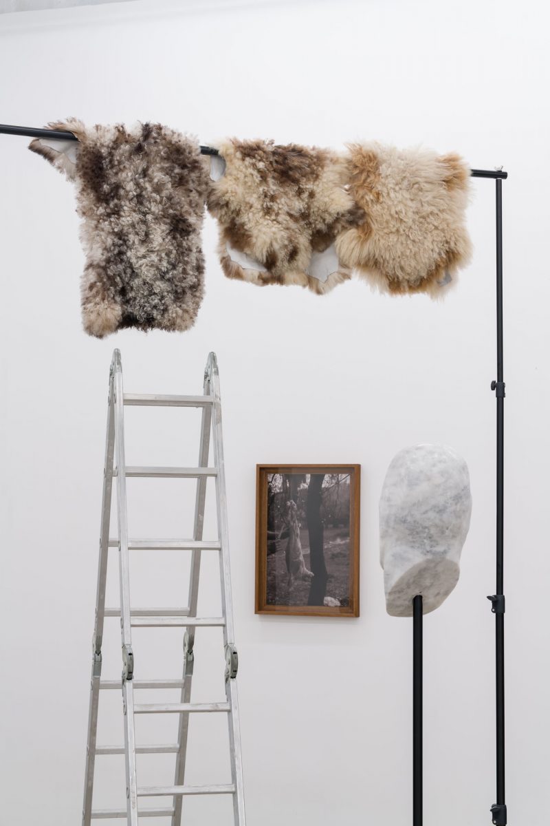 George Semeniuc at SABOT – Art Viewer
