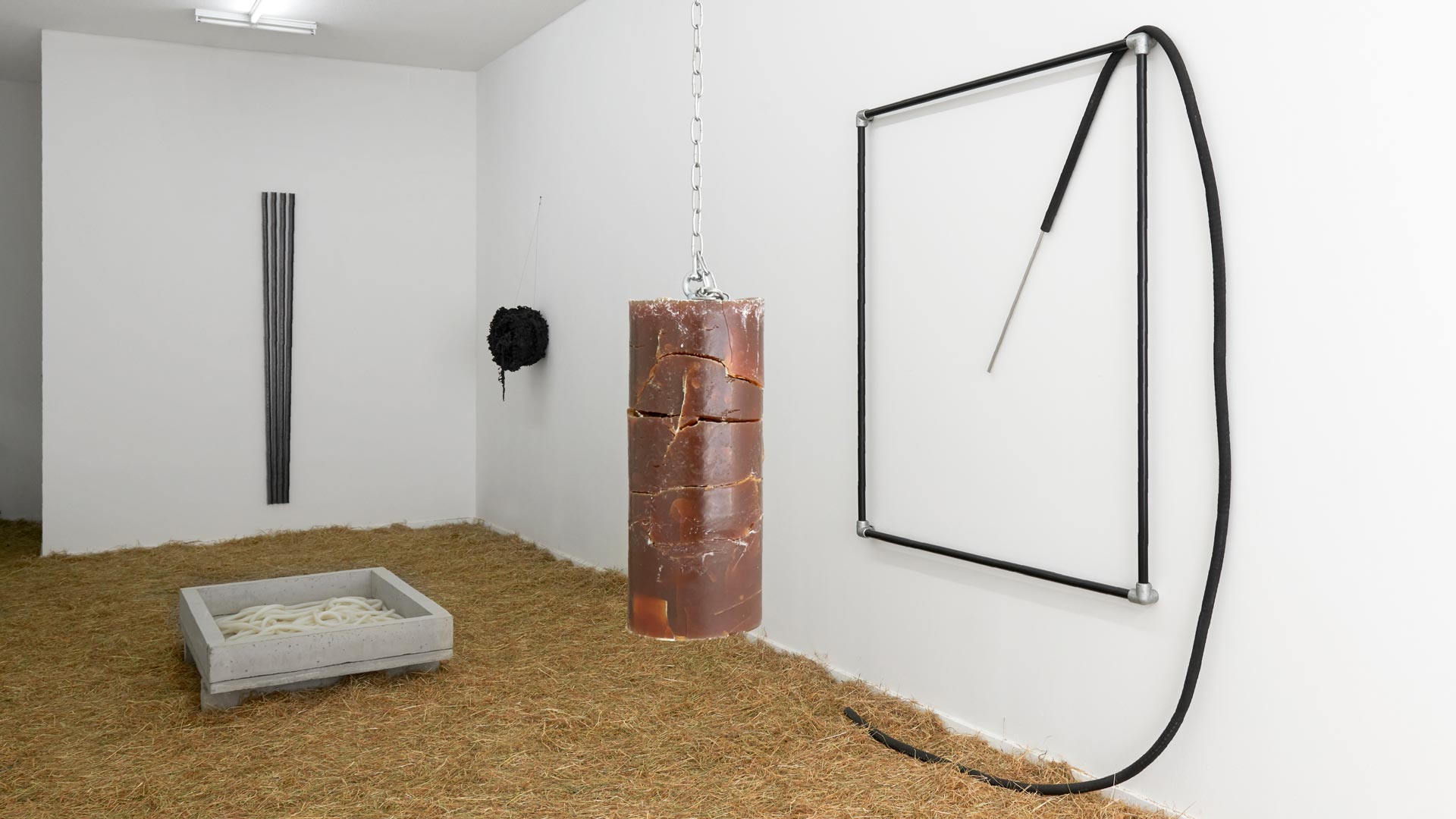 Jan Bokma at CINNNAMON – Art Viewer