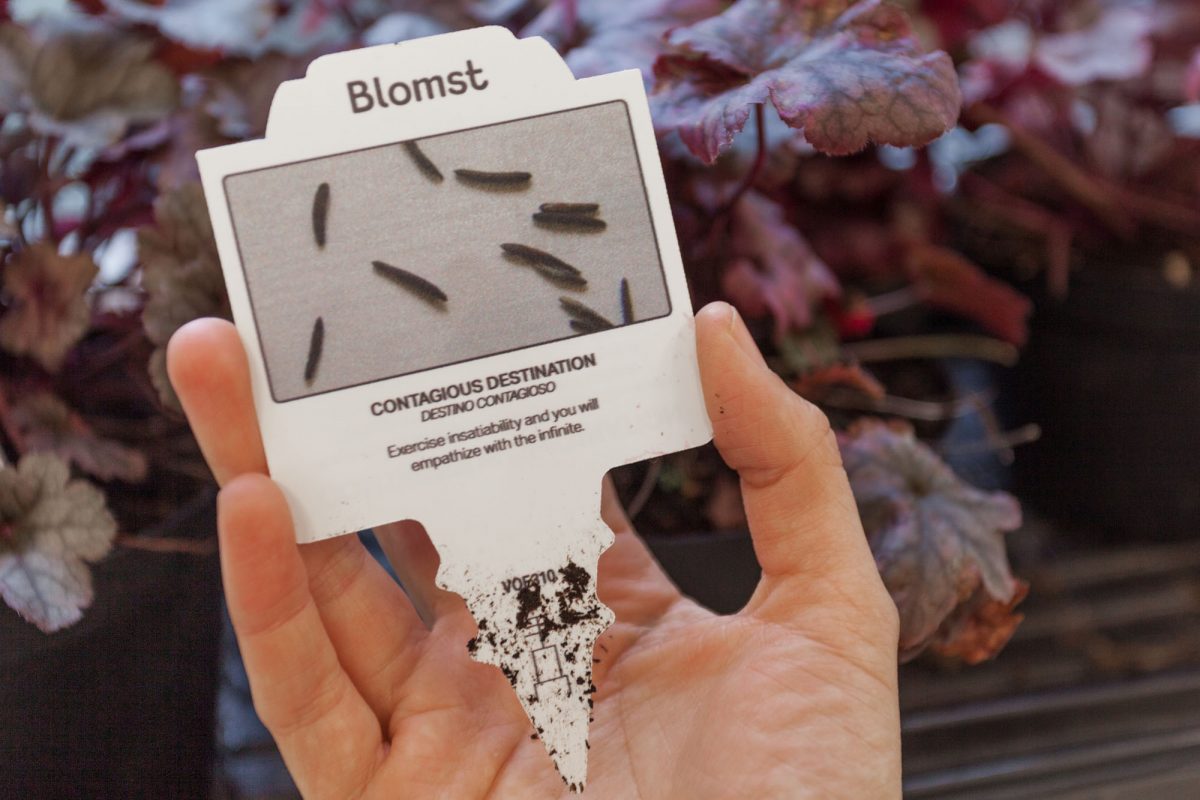 Stian Eide Kluge & Michael Ray-Von at Palmera – Art Viewer