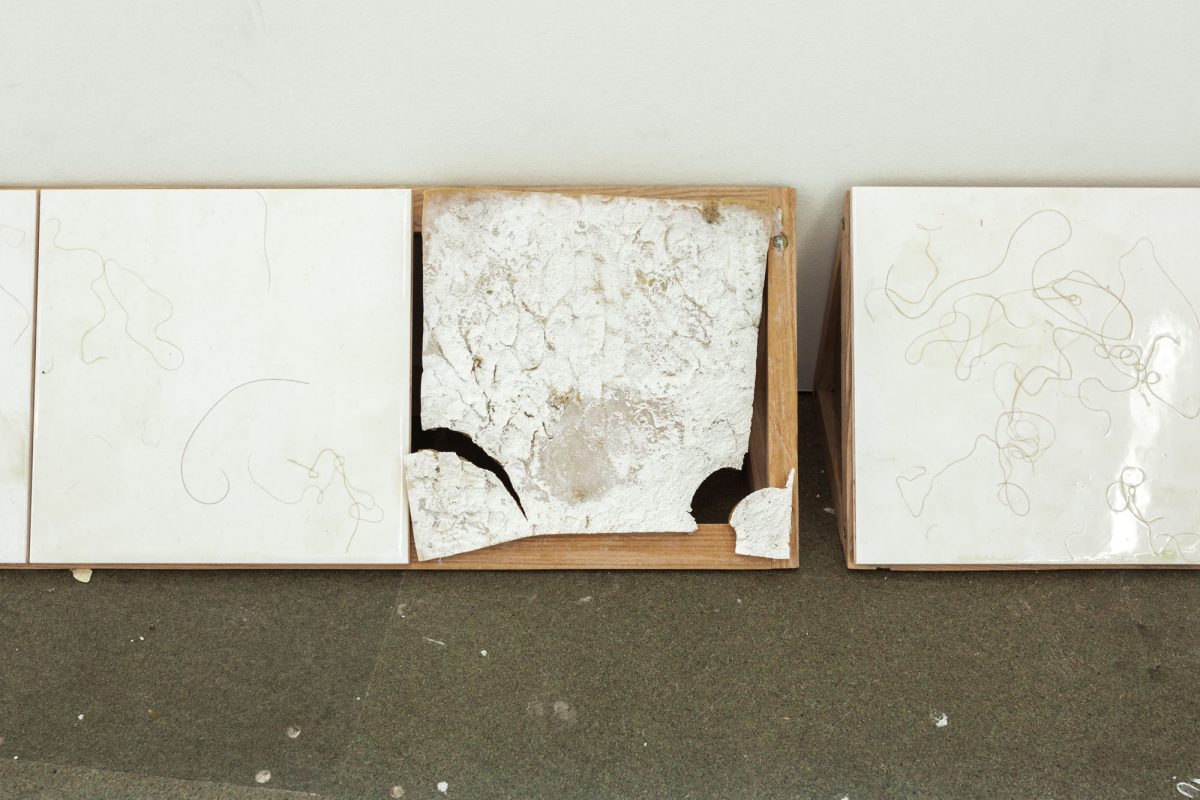 Stian Eide Kluge & Michael Ray-Von at Palmera – Art Viewer