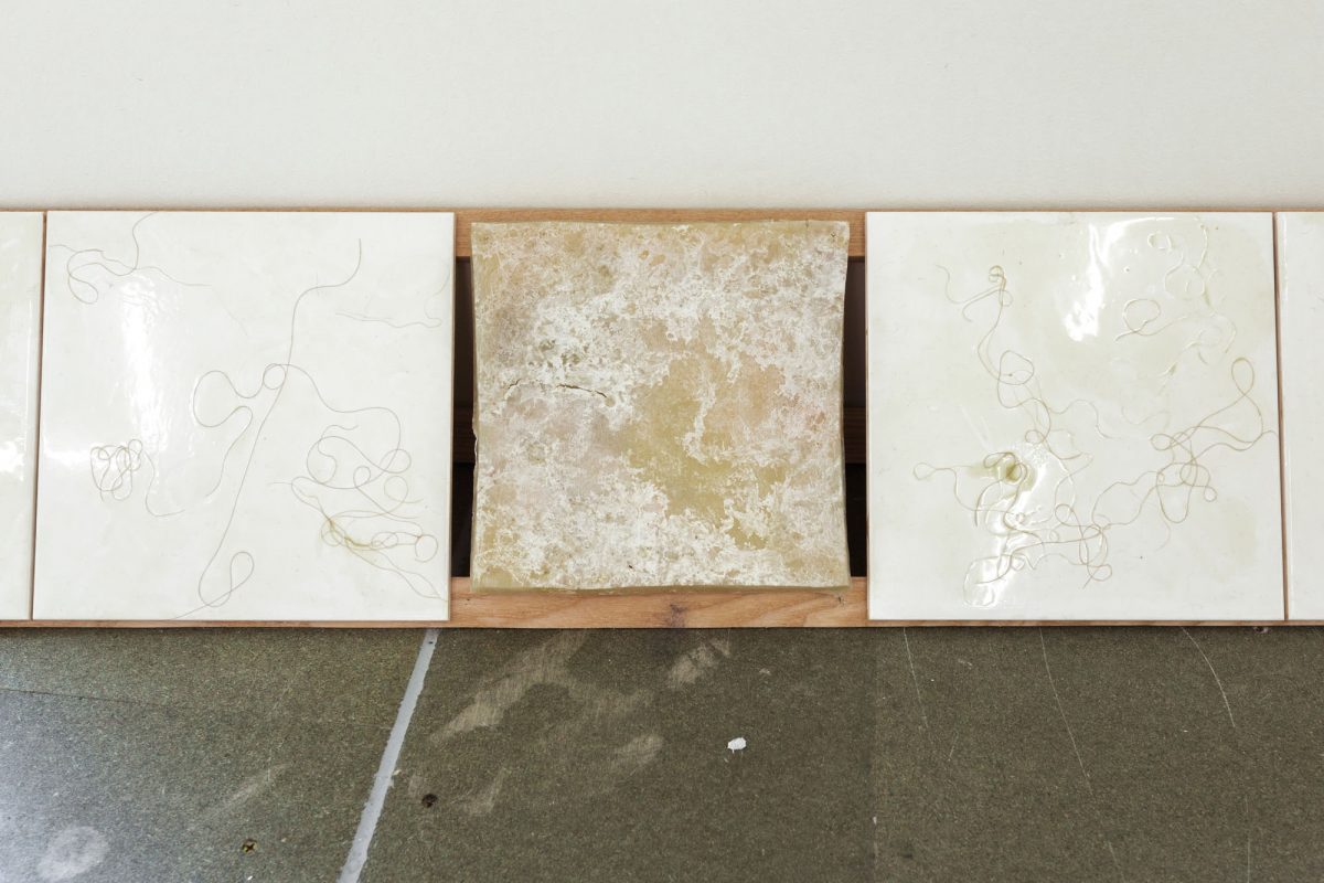 Stian Eide Kluge & Michael Ray-Von at Palmera – Art Viewer