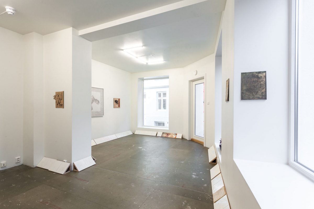 Stian Eide Kluge & Michael Ray-Von at Palmera – Art Viewer