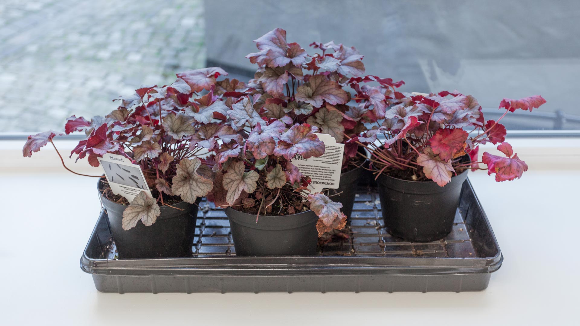 Stian Eide Kluge & Michael Ray-Von at Palmera – Art Viewer