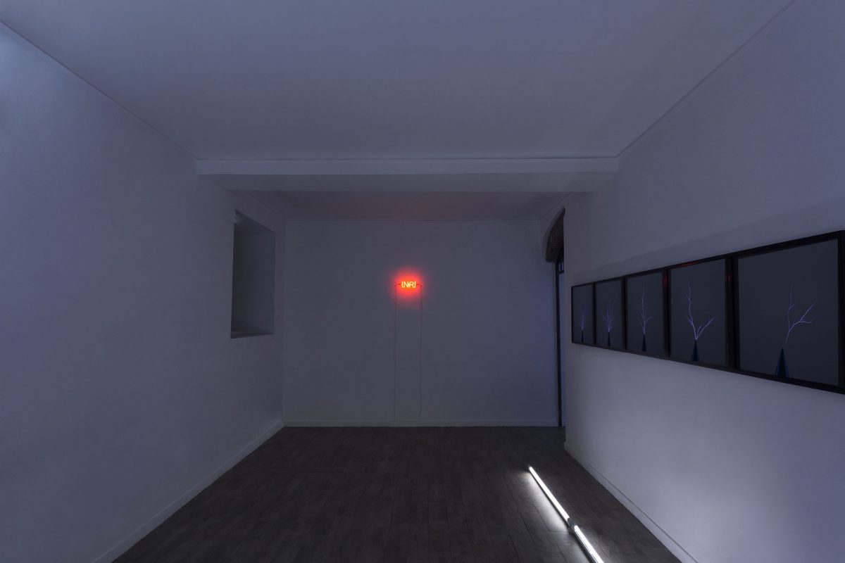 Strings. Light And Vision at White Noise Gallery – Art Viewer