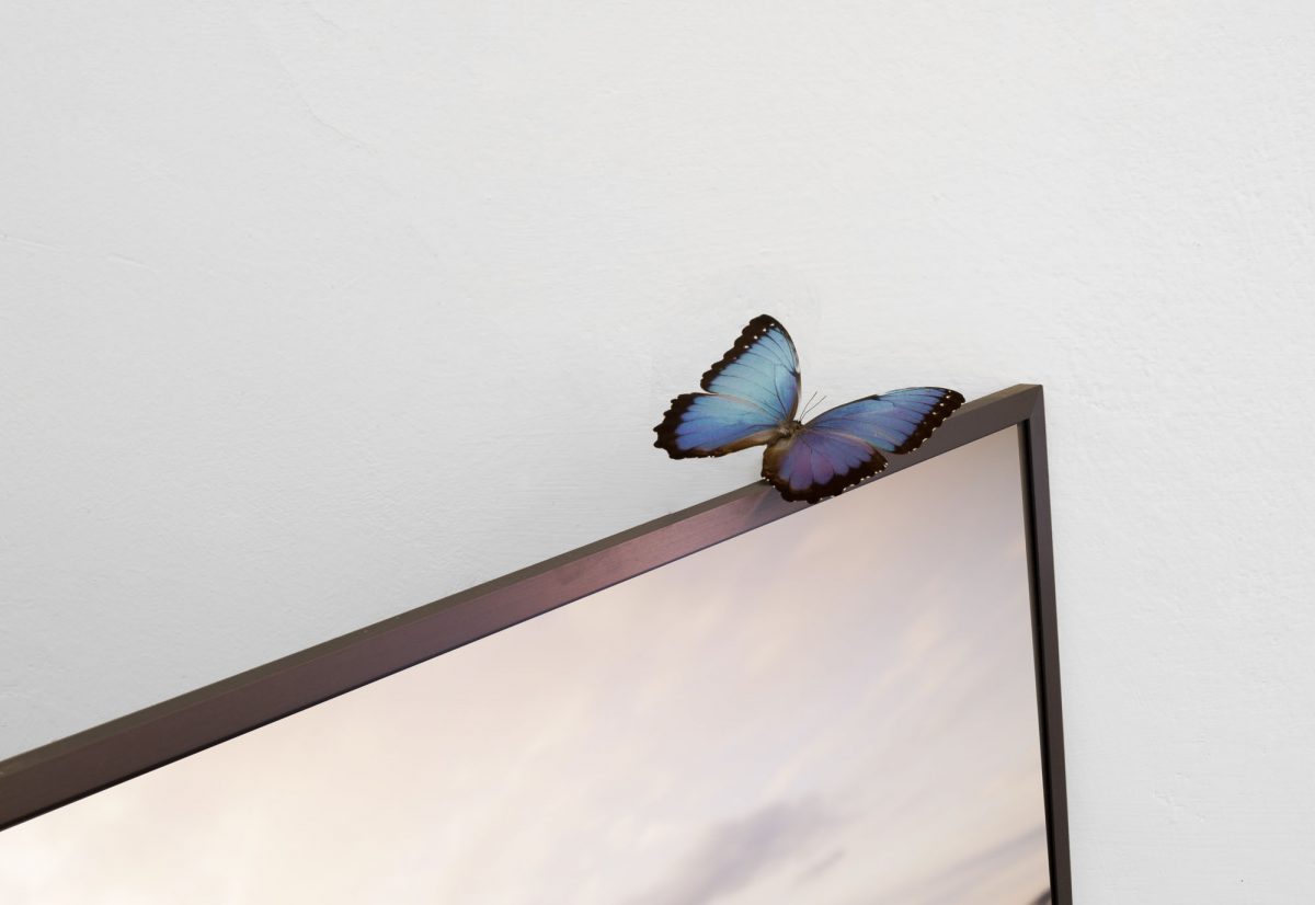 Theo Triantafyllidis at Eduardo Secci Contemporary – Art Viewer