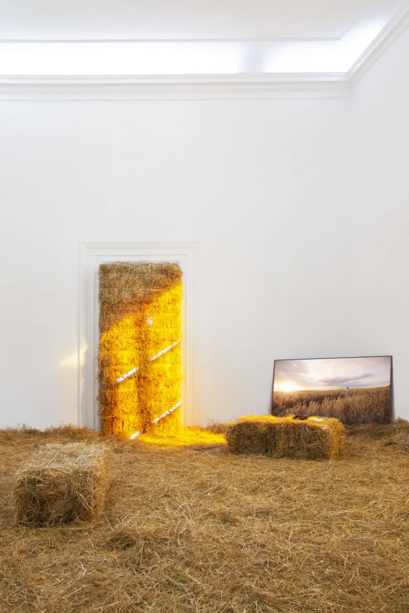 Theo Triantafyllidis at Eduardo Secci Contemporary – Art Viewer